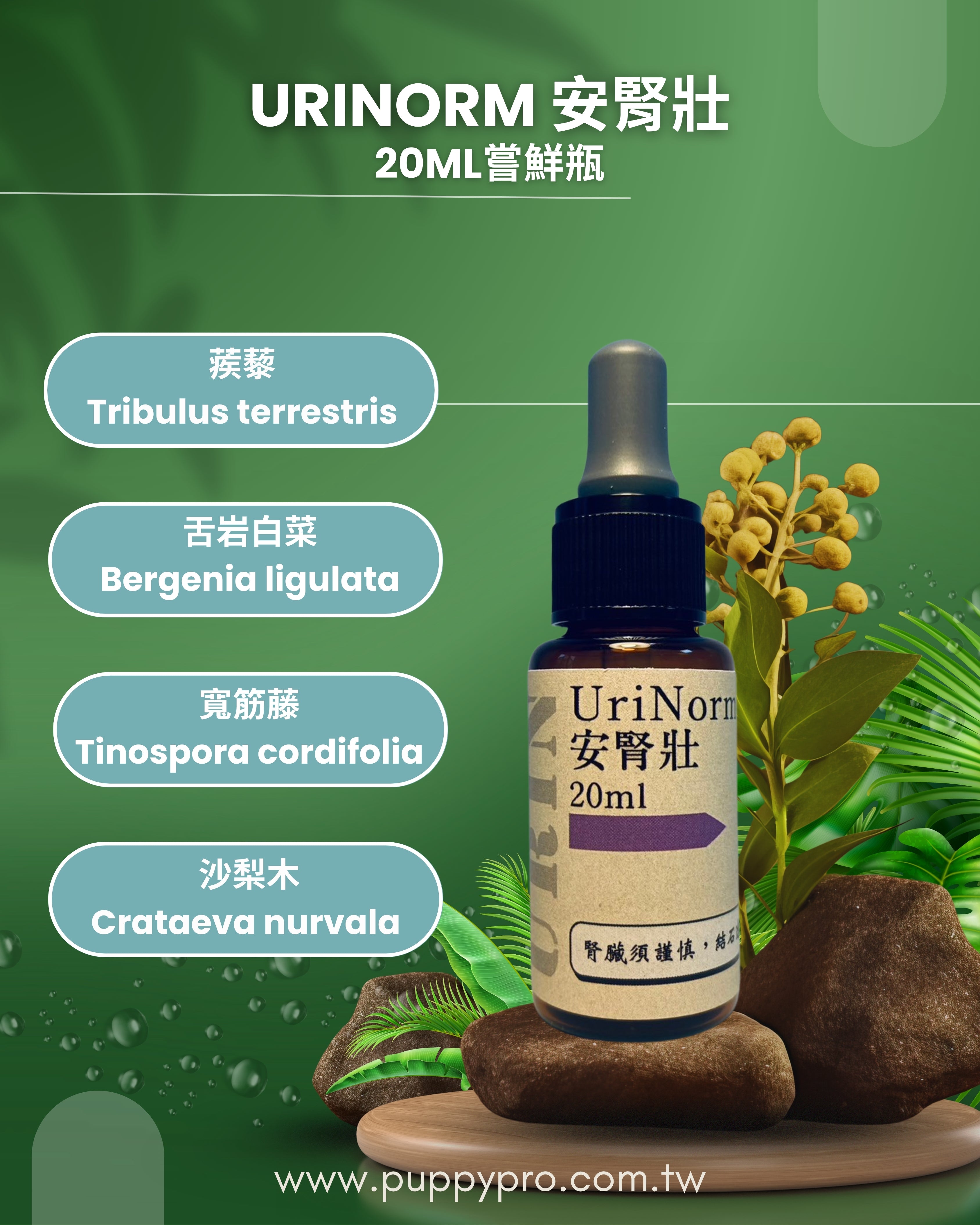 UriNorm 安腎壯 - 腎臟保健 - 純天然草本寵物保健食品 20ml – PuppyPro